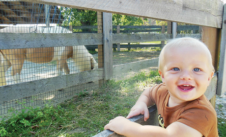 Parky's Farm: A Perfect Play Place - Cincinnati Family Magazine