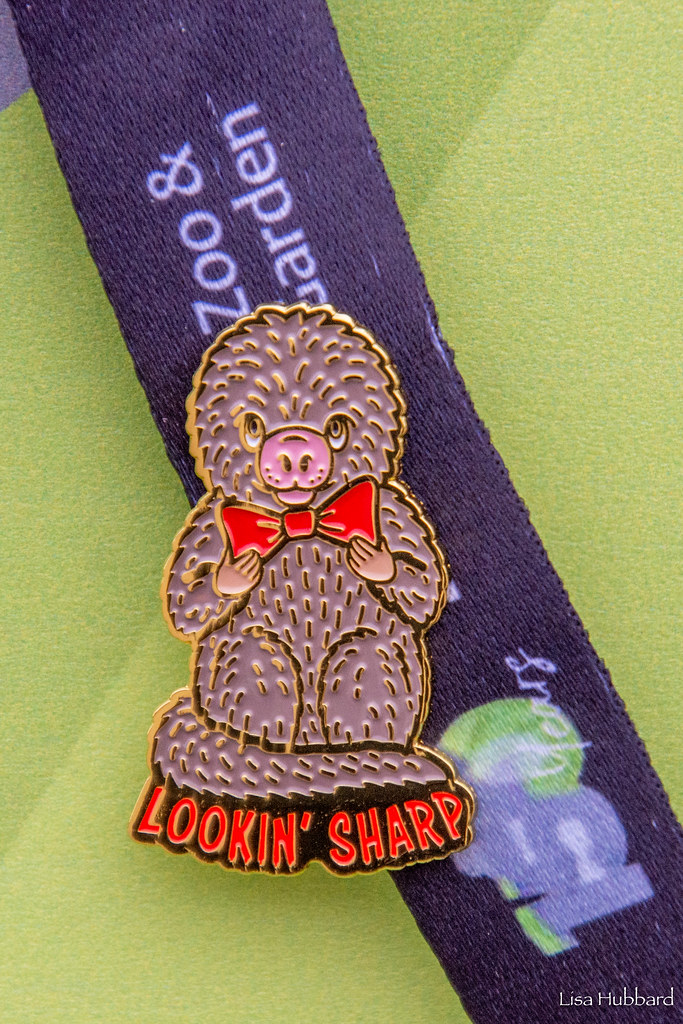 New Zoo Pin Trading Program - Cincinnati Family Magazine