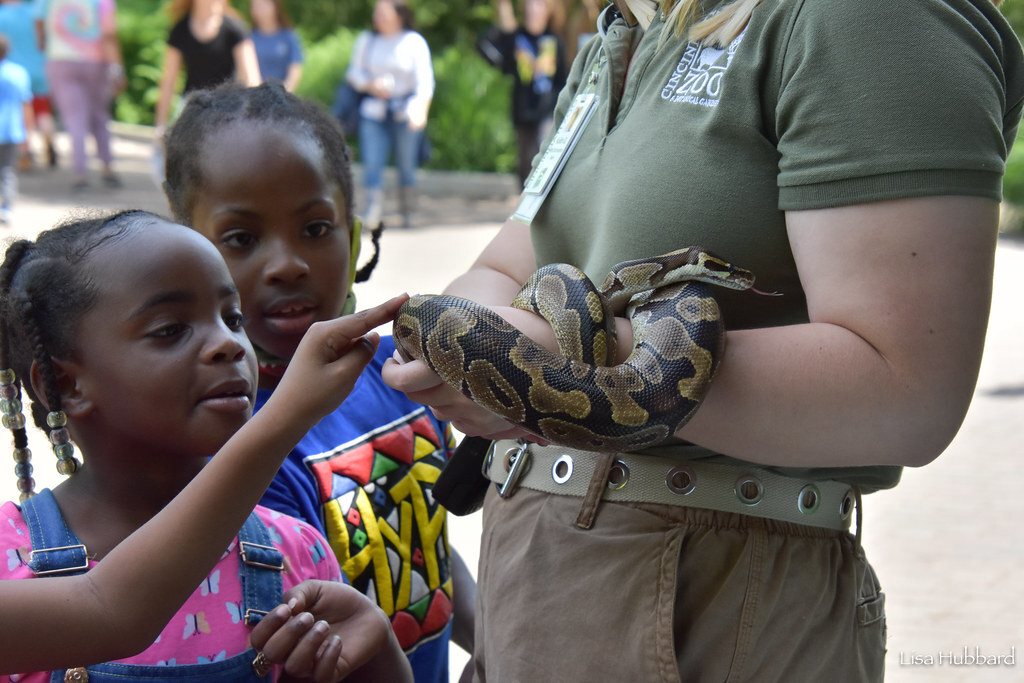 Zoo Membership Sale! - Cincinnati Family Magazine