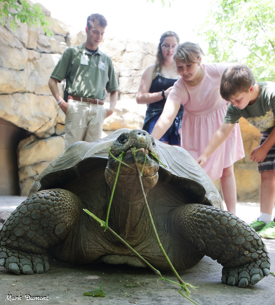 Zoo Membership Sale! - Cincinnati Family Magazine