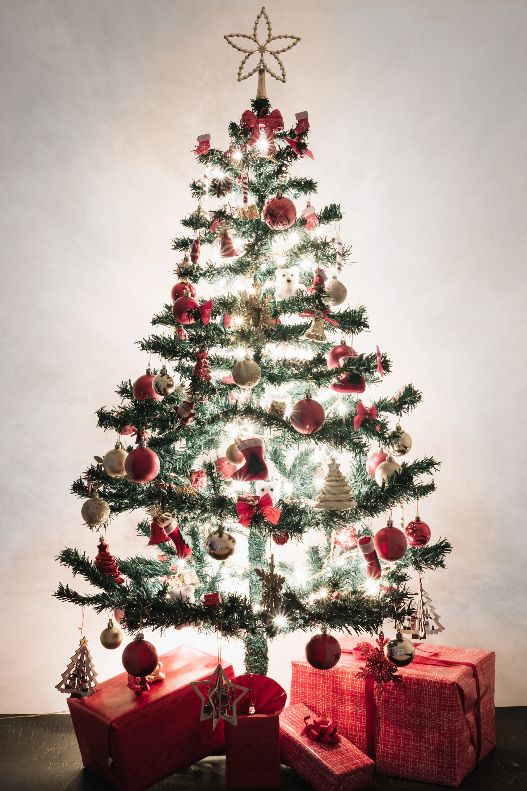 The Great Christmas Tree Debate - Cincinnati Family Magazine